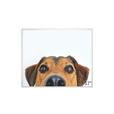 China 1280x1024 TFT LCD Touchscreen Display 350nits LVDS LCD Panel 17 Inch for sale