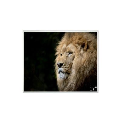 China 350nits TFT Touch Screen 17 Inch LVDS Touch Screen Display 1280x1024 Resolution for sale