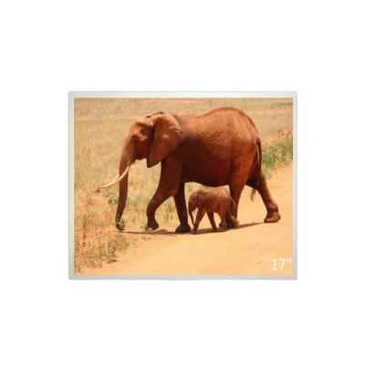 China 17 Inch TFT LCD Touch Screen 1280x1024 Resolution Touch Screen LCD Module With LVDS for sale