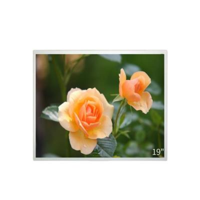 China 19 Inch TFT LCD Screen Panel Industrial LVDS Displays 1280x1024 Resolution for sale