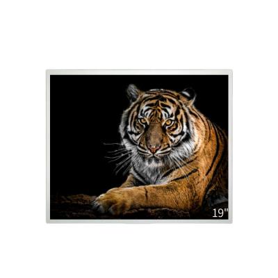China Industrial Custom TFT Display 19 Inch LCD Screen Displays 1280x1024 30 PIN LVDS for sale
