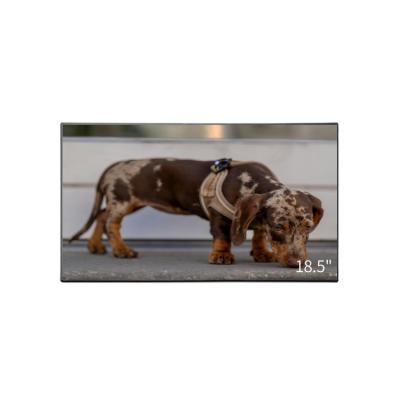 China 18.5 Inch IPS LCD Displays 1920x1080 Resolution HD TFT Display With LVDS Dual Port for sale