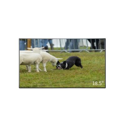 China IPS TFT LCD Display 18.5 Inch 250nits Display 1920x1080 Resolution With LVDS 2PORT for sale