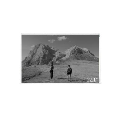 China 12.1 Inch TFT LCD Display Panel 500nits LVDS LCD Display 1280x800 Resolution for sale