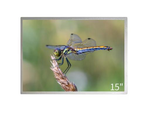 Quality 15 Inch TFT LCD Modules IPS LVDS Touch Screen 1024x768 Resolution for sale