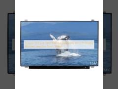 Custom 15.6 Inch 1920*1080 Resolution IPS TFT LCD Display Module Capacitive Touch Screen