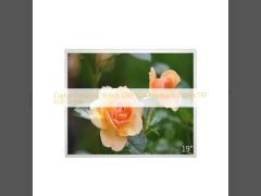 Industrial Custom TFT Display 19 Inch LCD Screen Displays 1280x1024 30 PIN LVDS