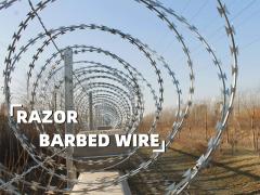 la inmersión caliente de 2.5m m Dia Razor Blade Fencing Wire galvanizó
