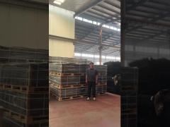 V Mesh Security Fencing in wooden pallet