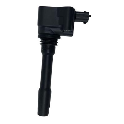 China 360304045L 360304027L Demillon Auto Parts Electrical System Engine Ignition Coil for Hong qi H5 for sale