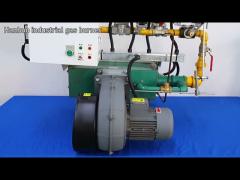 Energy-Efficient Combustion Burner for Sustainable Operations
