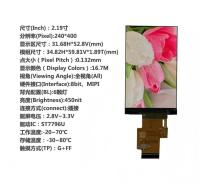 China 2.19 inch IPS TFT LCD Module with 240x400 Resolution and MIPI Interface Security Screen for sale