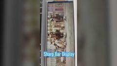 8.6 inch  bar type display