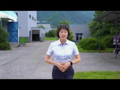 불규칙 발프렌 탄화물 분말
