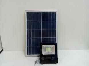 China Made the night bright! 30W Black Pig Iron Solar Photosensitive Induction Spotlight/ Floodlight for sale