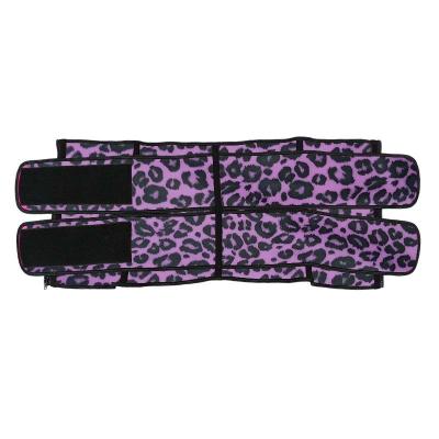 Cina Corsetto porpora di Underbust di dimensione di Double Strap Plus dell'istruttore della vita della chiusura lampo del lattice del leopardo in vendita