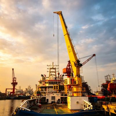 China Full Electric Offshore Crane with Active and Passive Heave Compensation and Modular Design for Marine Vessels & Platforms for sale