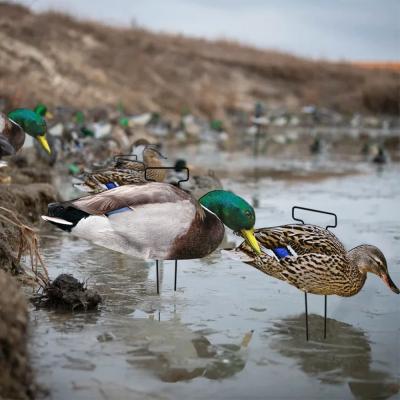 China Custom PP Mallard Silhouette Decoys voor de jacht Waterdicht Anti Reflective Multiple Style Te koop