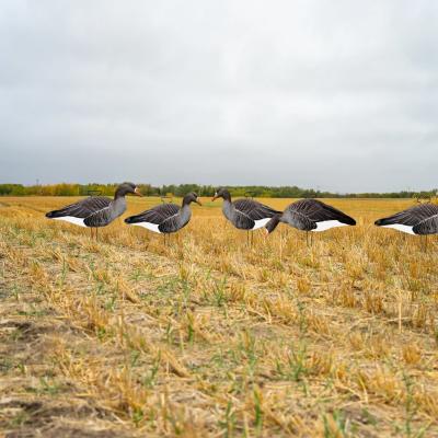 China Silhueta de gansos resistente à água, de plástico natural, anti-gravatos, chamariz para a caça de gansos. à venda