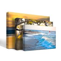 Quality Handpainted Modern Landscape Picture Painting Landscape Wall Art Canvas 6 Color for sale