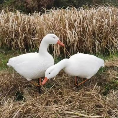 Cina 76x23x23cm EVA Foam Floating Snow Goose Decoys Corpo completo personalizzato per la caccia in vendita