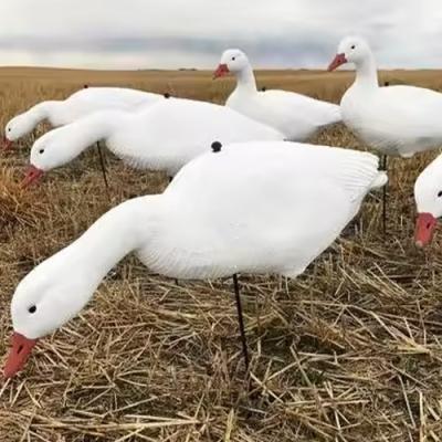 Cina 76x23x23cm EVA Foam Floating Snow Goose Decoys Corpo completo personalizzato per la caccia in vendita