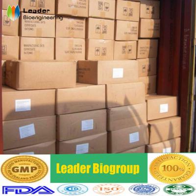 China Good GMP Manufactuer & Factory Offer Nicotinic acid  59-67-6 for sale