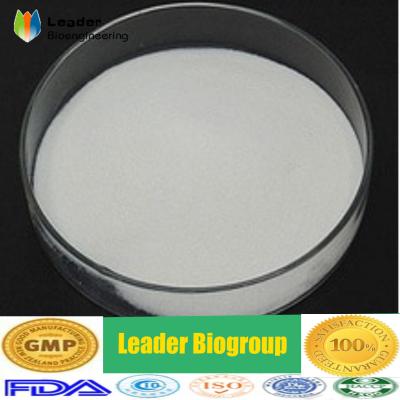 China China Biggest Manufacturer & Factory Offer Selamectin Wtih Good Price!!!!!!! for sale