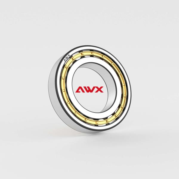 Quality NUP1000 OEM ODM Cylindrical Roller Bearings Slow Speed Vibration Resistance for sale