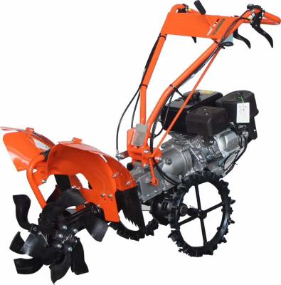 China Self propelled garden management machine with timer micro tiller adjustable fender scarifier for sale