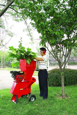 China Petrol shredder&trimmer& crusher for sale