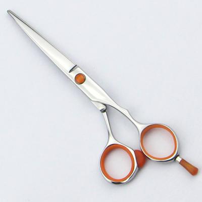 China Silver Color Professional Haircutting Scissors With  Adjustable Screw for sale