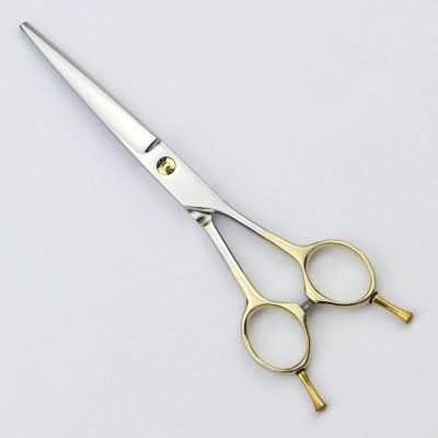 China Fashionable Gold Handle Pet Grooming Scissors For Dog Grooming for sale