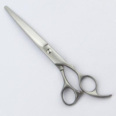 China Fashionable Cat Grooming Shears / Straight Hair Cutting Scissors for sale