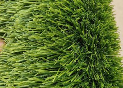 China Alfombra artificial de alta densidad de la hierba del funcionamiento del perro del césped de Dtex12000 3x3 en venta