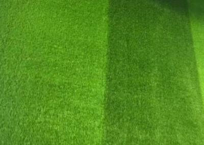 Cina Il calcio verde Astroturf tappezza il tappeto erboso artificiale del rotolo per la palestra 2x25 in vendita