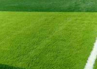 China Comfortable 30mm 2m Width Homebase Artificial Grass Roll for sale