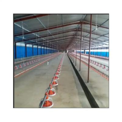 China Automatic Poultry Control Shed Equipment For Chicken Broiler And Breeder for sale