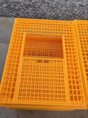 China Automatic Poultry Control Shed Equipment For Chicken Broiler And Breeder for sale