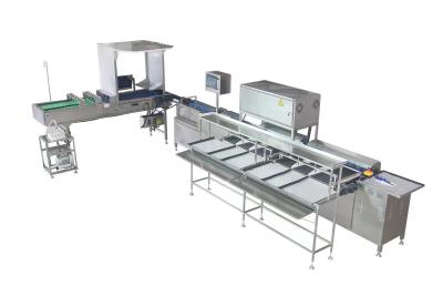 China 10,000 Eggs/hour Stainless Steel Egg Grading Sorting Machine From China for sale