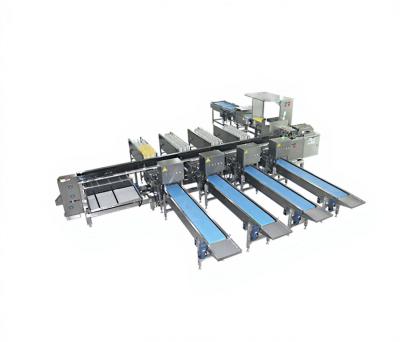 China 30,000 Eggs/hour LED Candling Electronic Egg Grading Sorting Machine for sale