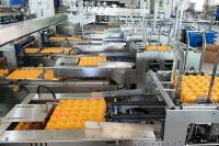 China 30,000 Eggs/hour LED Candling Electronic Egg Grading Sorting Machine for sale