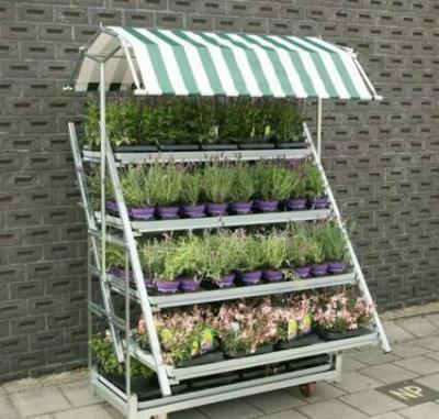 Cina Carrello danese della pianta del compensato d'acciaio del ferro, scaffale del vaso di fiore 500kgs con 4 ruote in vendita