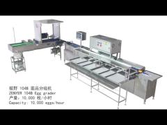 104B egg grading machine
