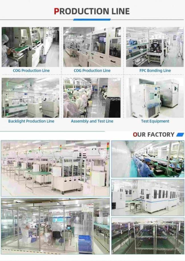 10.1 inch IPS LCD display module technical diagram