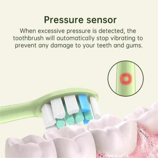 Quality Customizable 5 Modes Sonic Electric Toothbrush With 2 Minute Timer for sale