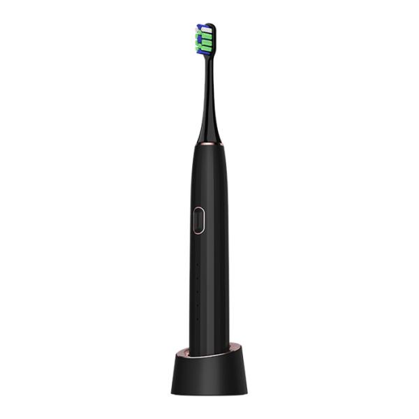 Quality Portable Ipx7 Sonic Household Adult Electric Tooth Brush Electronic Toothbrush for sale