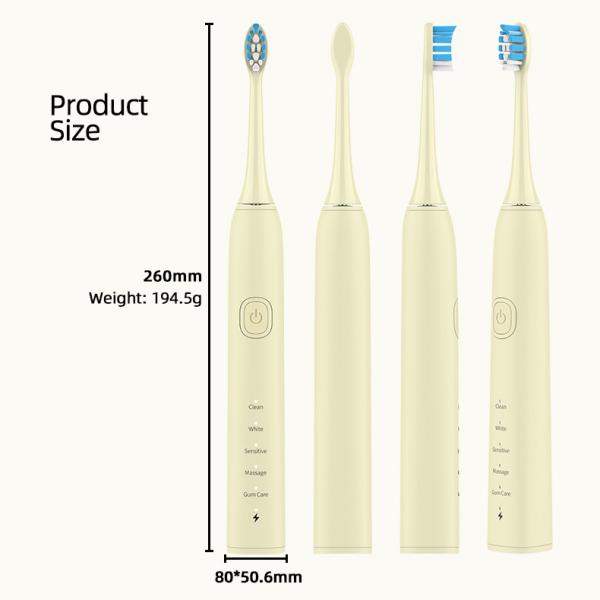 Quality Smart IPX7 Adult Timer Electric Toothbrush For Oral Cleaning Whitening for sale