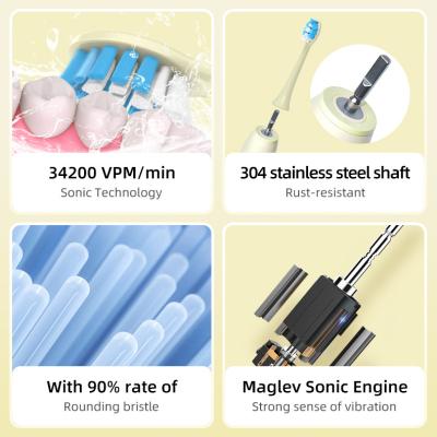 China 5 Modes Oral Care Electric Toothbrush Dupont Bristle Waterproof Sonic Toothbrush for sale