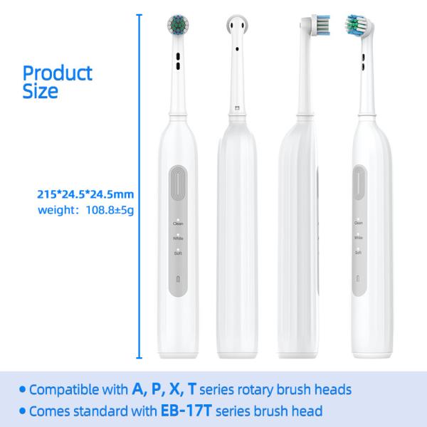 Quality Medium Bristle Electric Round Head Toothbrush Sonic Spin Toothbrush USB Charging for sale